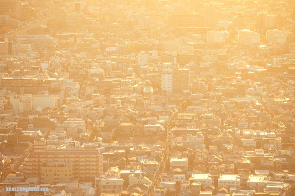 フォームヘルパー – Search Light（Python, React, Django, PHP, Linux）